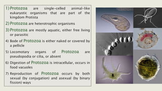 Presentation on protozoa biology topic mbbs | PPT