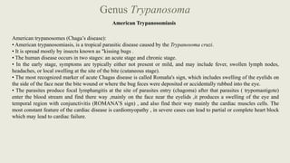 Presentation on protozoa biology topic mbbs | PPT