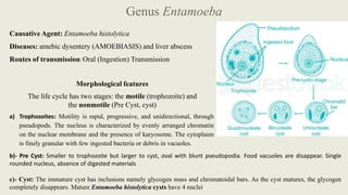 Presentation on protozoa biology topic mbbs | PPT