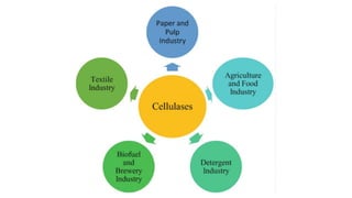 Introduction biomass and its structure and uses | PDF