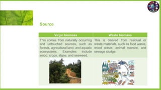 Introduction biomass and its structure and uses | PDF