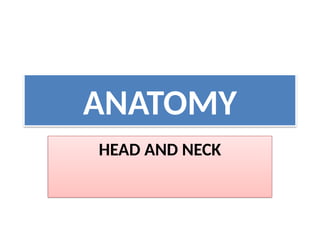 The anatomy of the head and neck region ppt | PPTX