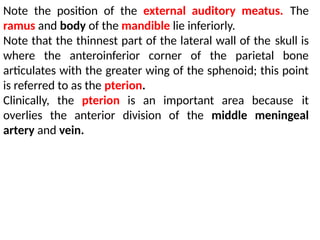 The anatomy of the head and neck region ppt | PPT