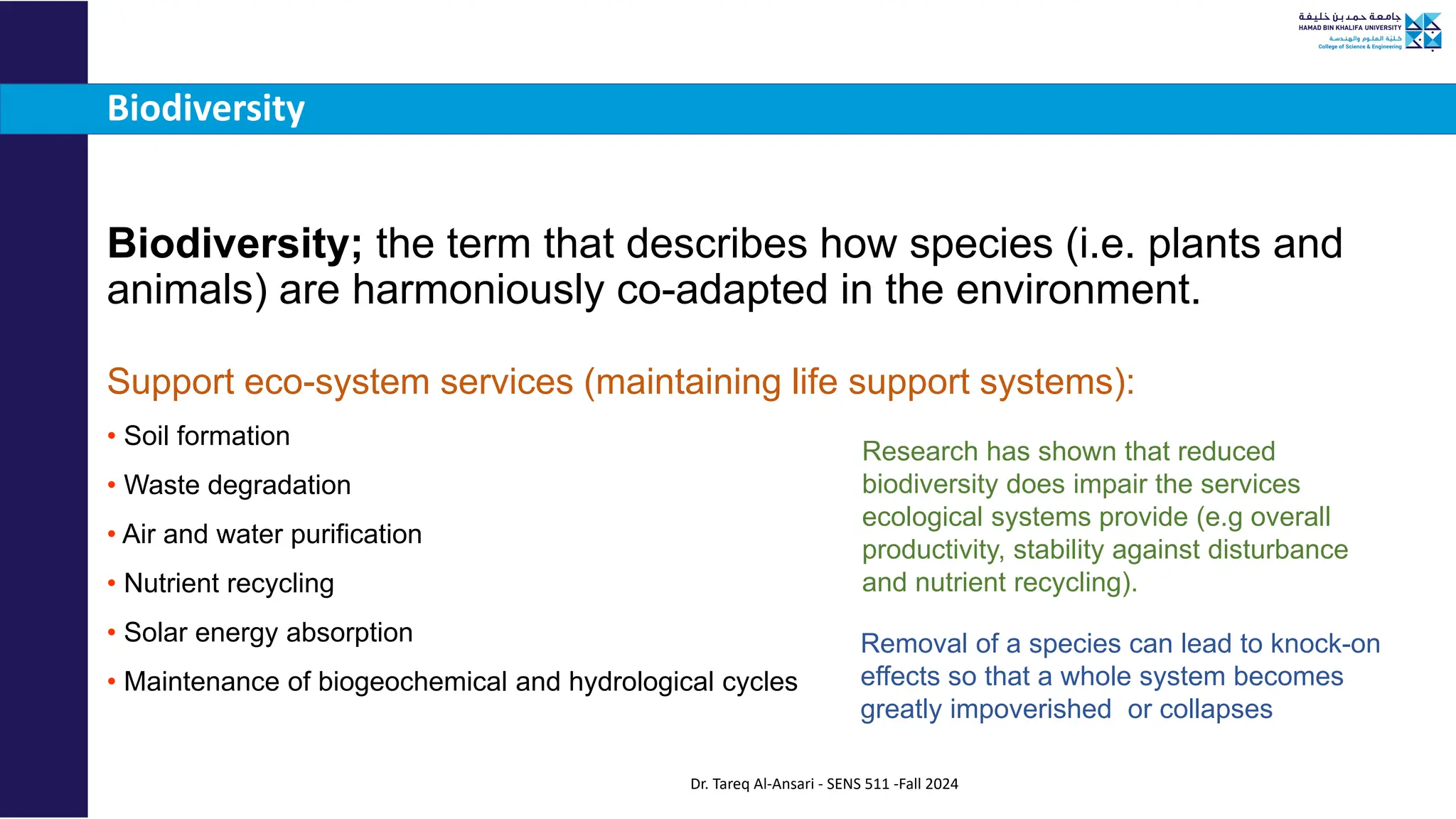 Lecture 2 sustainability fundamentals graduate course | PDF