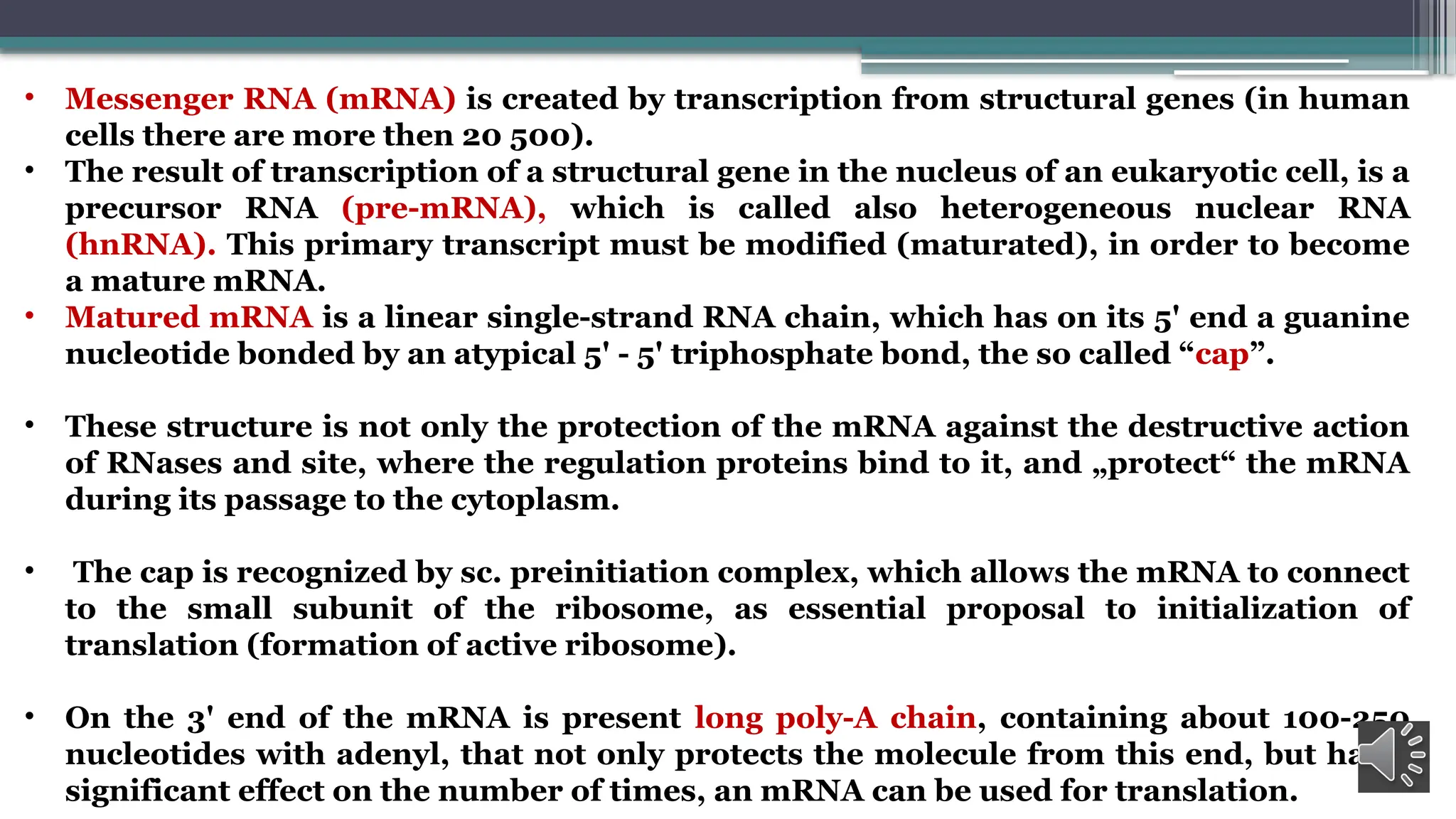 lecture 2.pptxmolecular biooooologyyyyyyy | PPTX