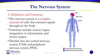lecture neurobiological basic of behaviour.pptx