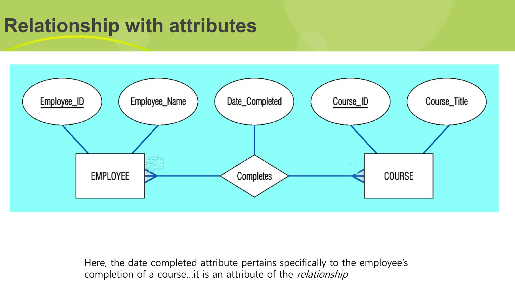 Lecture 2 database management system.pdf