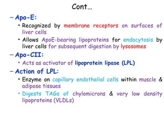 Lecture 2. Digestion and Absorption of Lipids.pptx