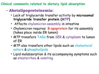 Lecture 2. Digestion and Absorption of Lipids.pptx