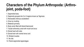 Dominance of insects, classification of phylum arthropoda | PPTX