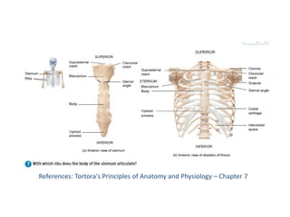 Basic human anatomy. axial Lecture 2.pdf