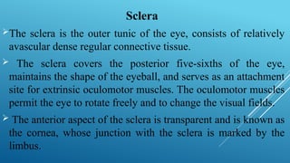 Lecture 2 topic regarding ear and eye sense organ histology | PPTX