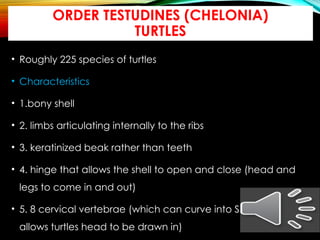 lecture 2. classification of reptiles pptx | PPTX