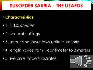 lecture 2. classification of reptiles pptx | PPTX