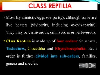 lecture 2. classification of reptiles pptx | PPTX