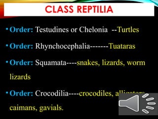 lecture 2. classification of reptiles pptx | PPTX