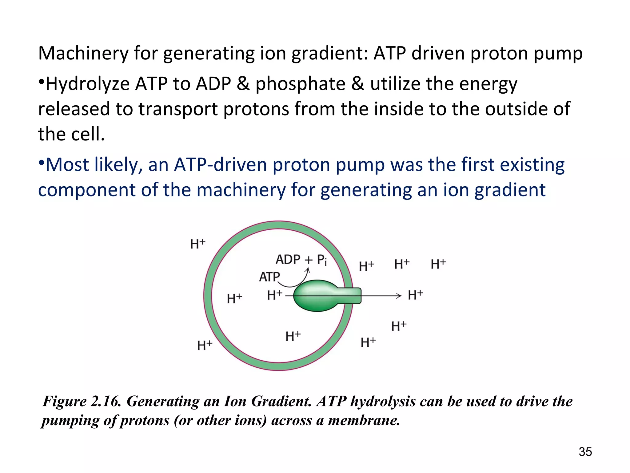Lecture 2 3 | PPT