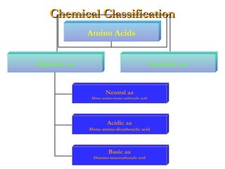 Lecture 2 3 protein chemistry | PPT