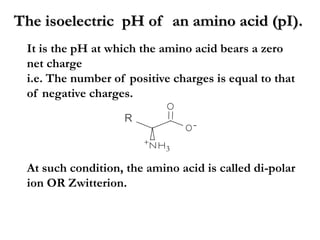 Lecture 2 3 protein chemistry | PPT