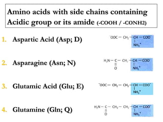 Lecture 2 3 protein chemistry | PPT