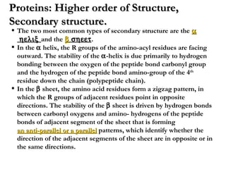 Lecture 2 3 protein chemistry | PPT