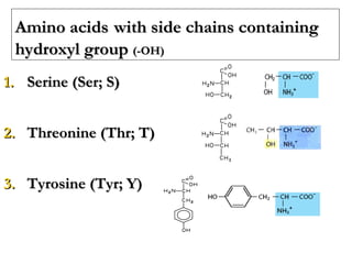Lecture 2 3 protein chemistry | PPT