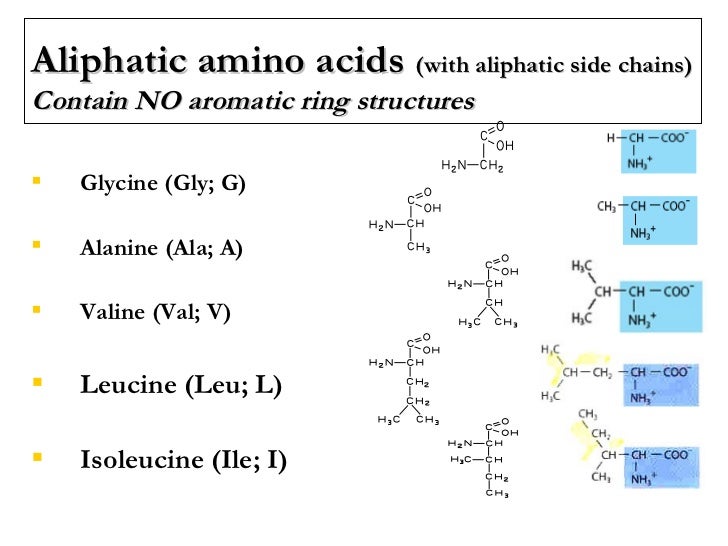Lecture 2 3 protein chemistry