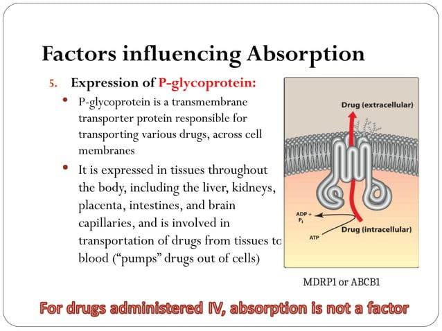 Pharmacokinetics Lecture - Absorption.ppt