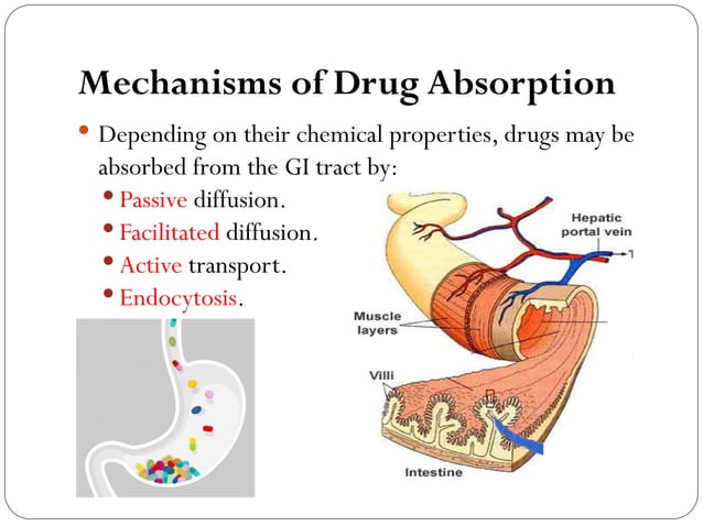 Pharmacokinetics Lecture - Absorption.ppt