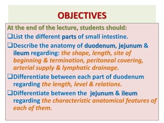 Lecture 2- ANATOMY OF SMALL INTESTINE.ppt