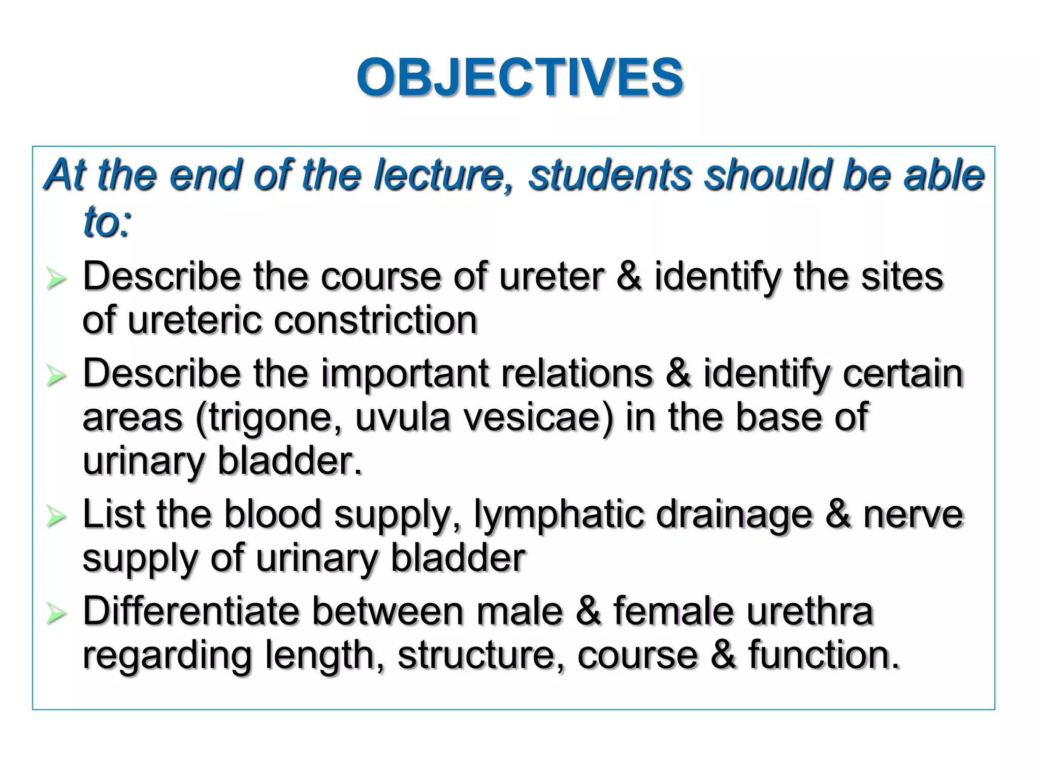 Lecture 2- Anatomy of Ureter, Urinary Bladder & Urethra.ppt