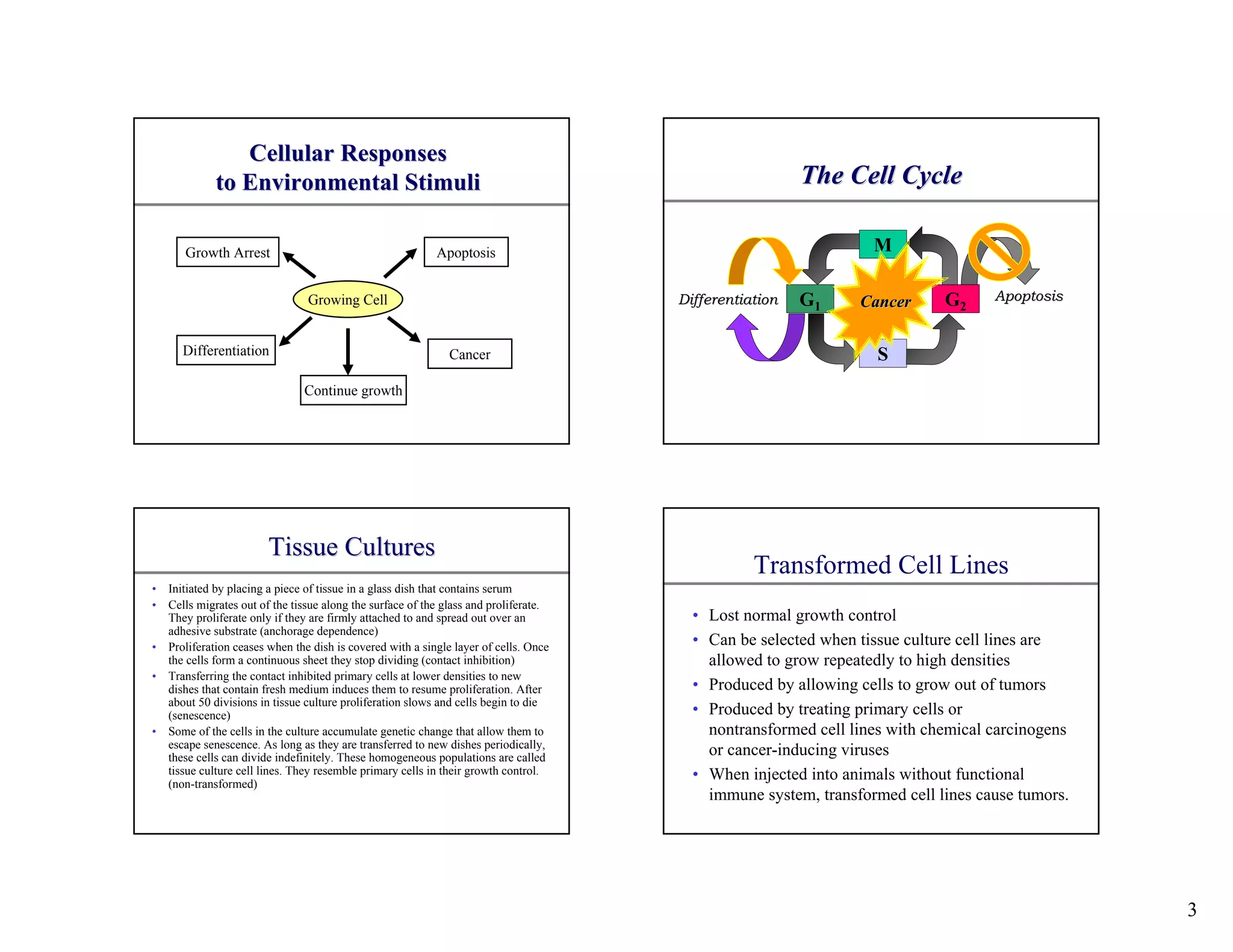 Lecture 2 animal cell culture | PDF