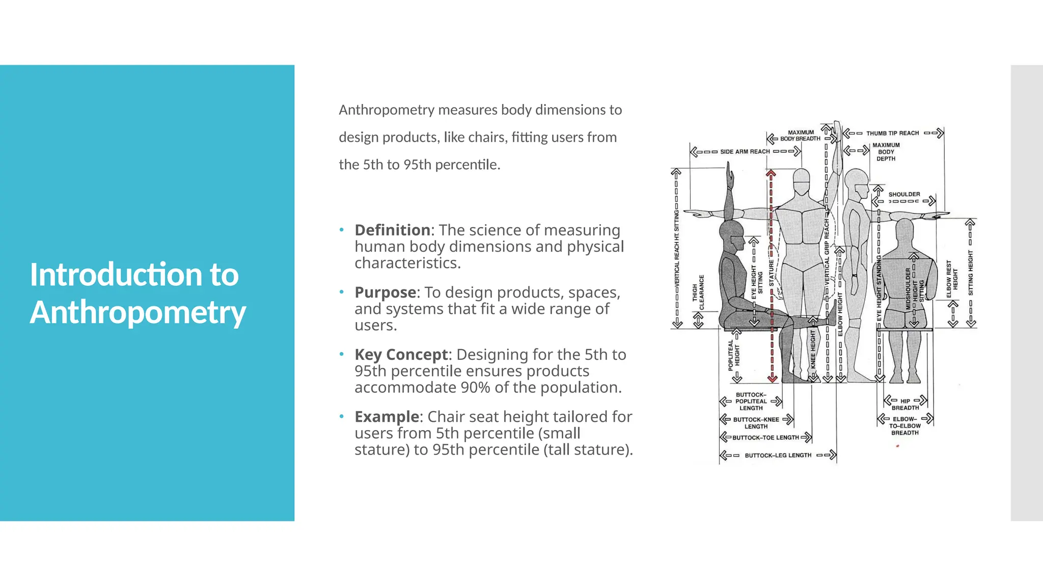 Lecture2 - Anthropometry and Its Application in Design.pptx