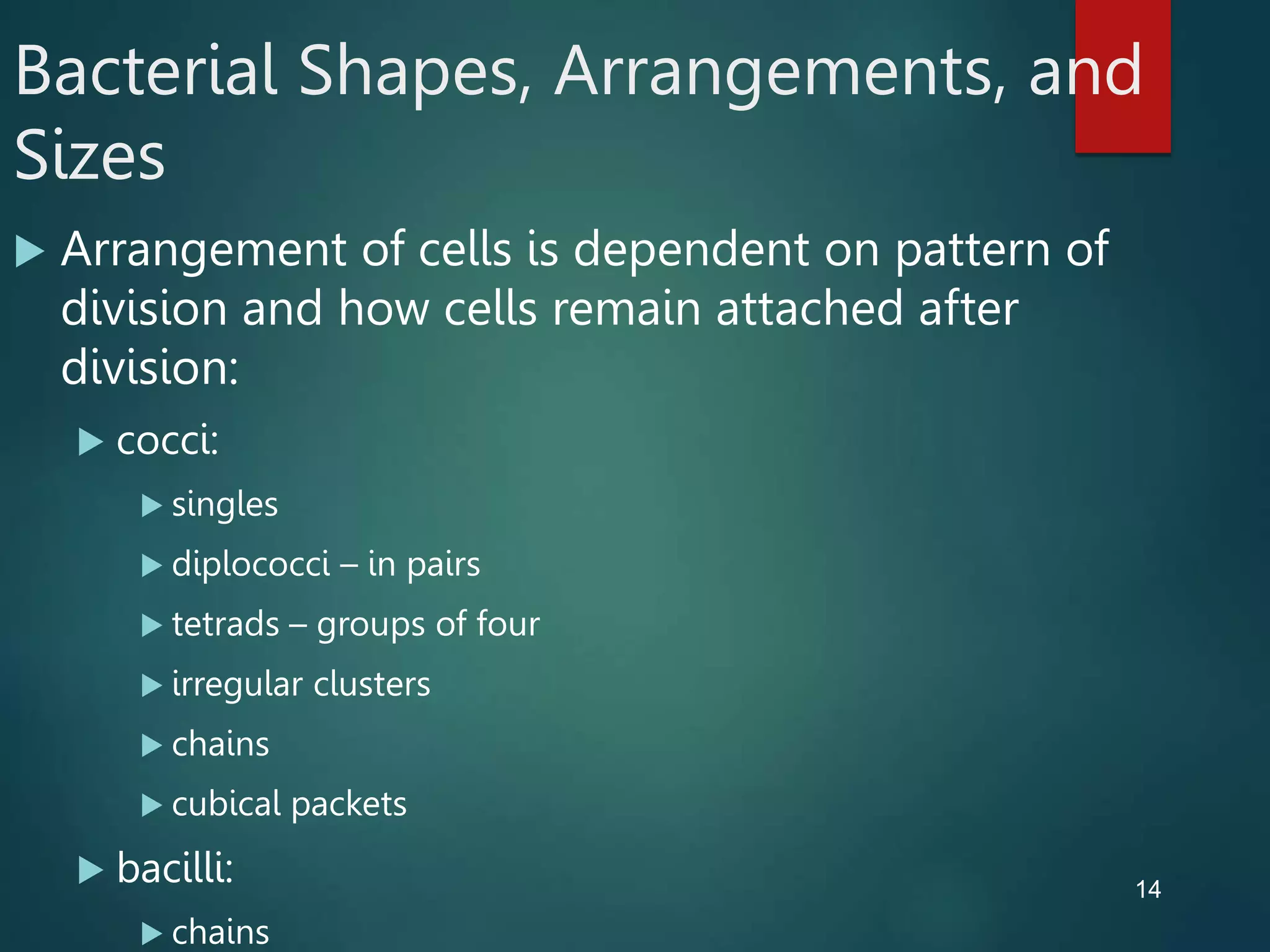 Bacterial Cell structure and Function (1).ppt