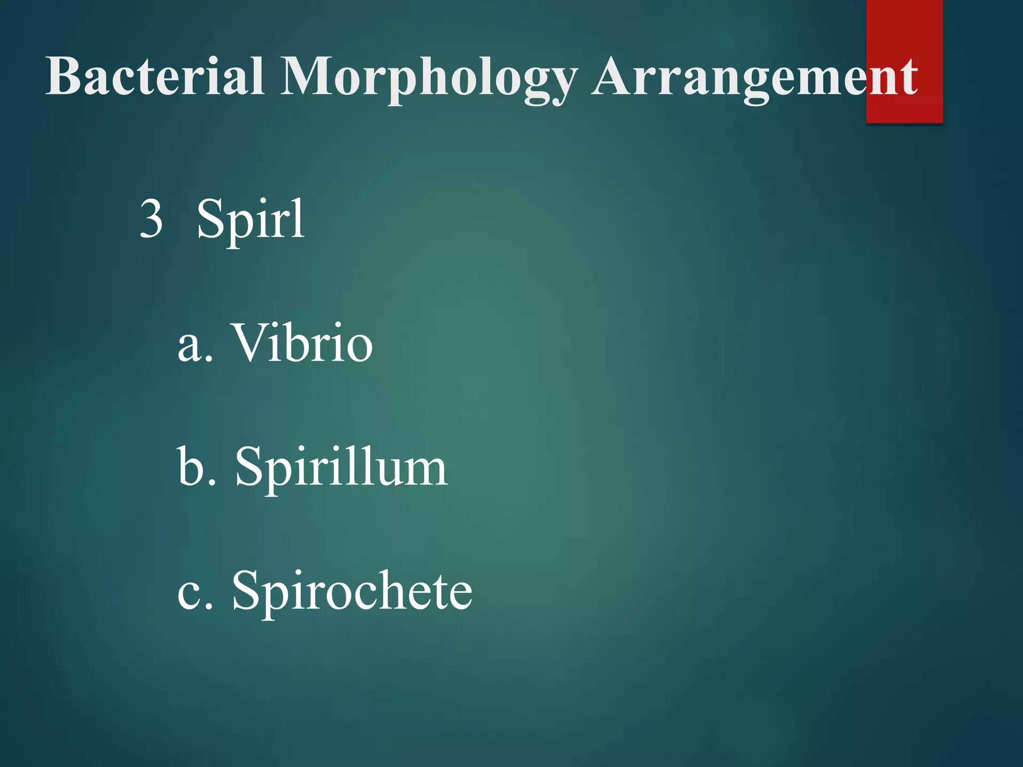 Bacterial Cell structure and Function (1).ppt