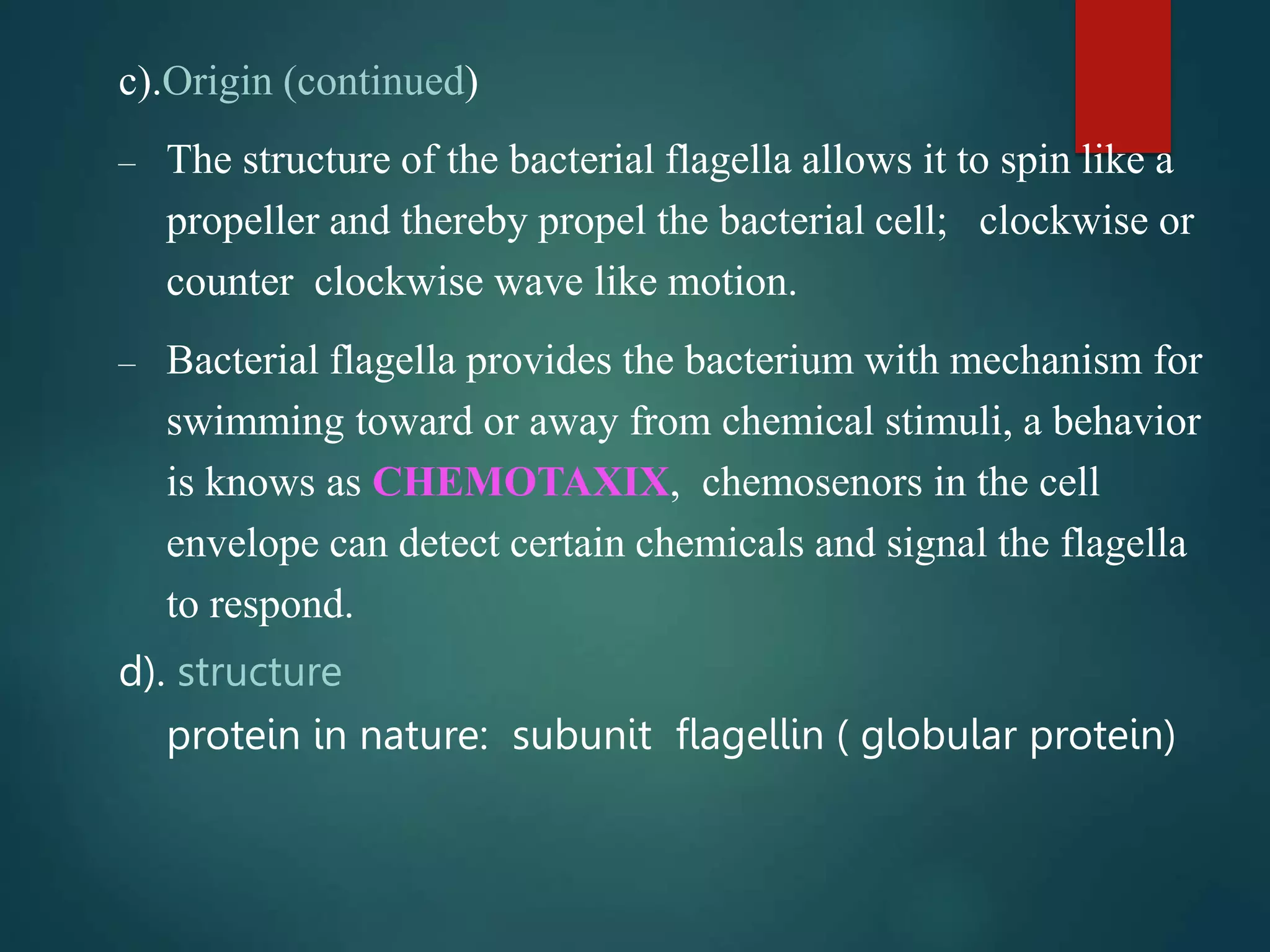 Bacterial Cell structure and Function (1).ppt