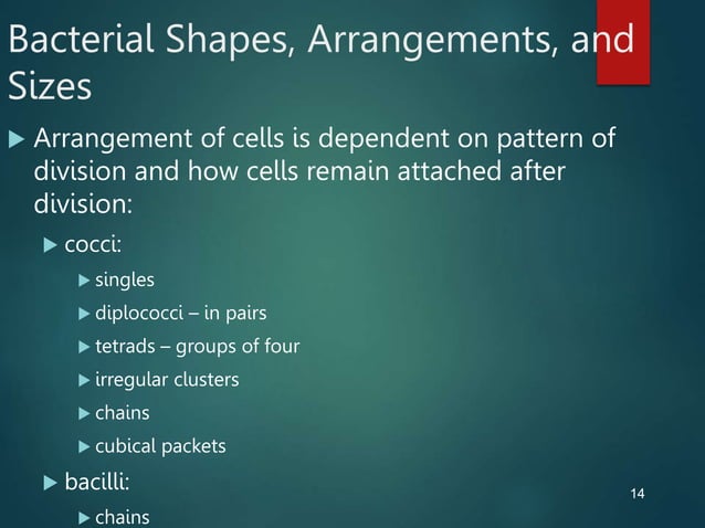 Bacterial Cell structure and Function (1).ppt