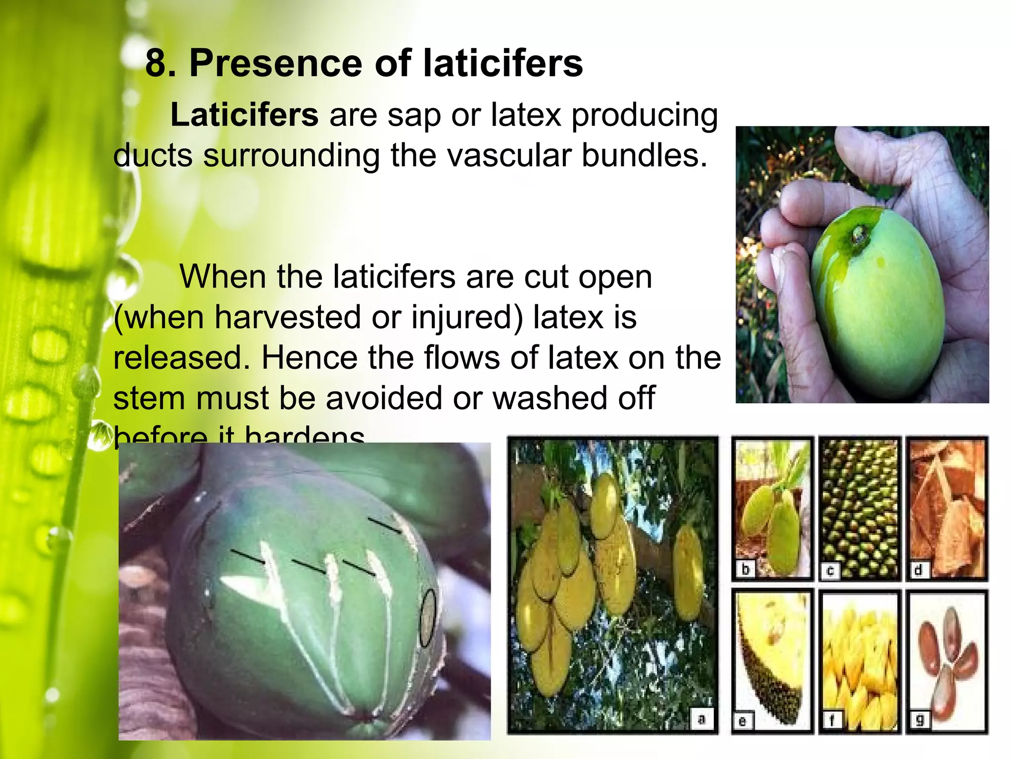 Lecture 2: Biological Aspect of Postharvest Handling of Crops | PPT