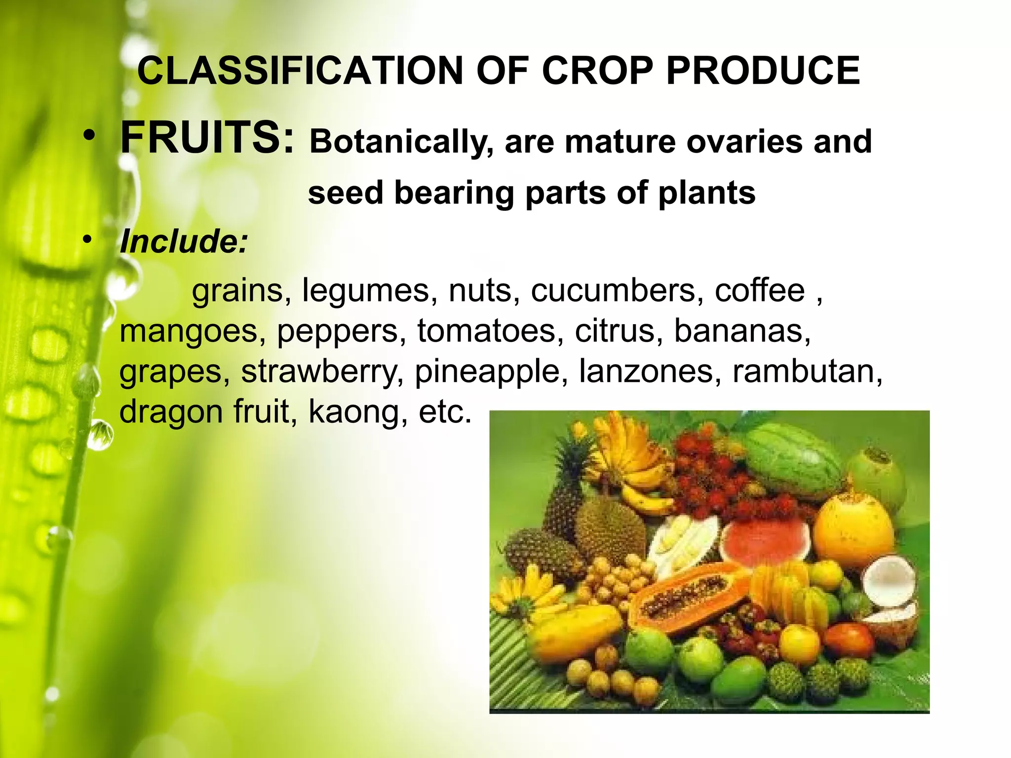 Lecture 2: Biological Aspect of Postharvest Handling of Crops | PPT