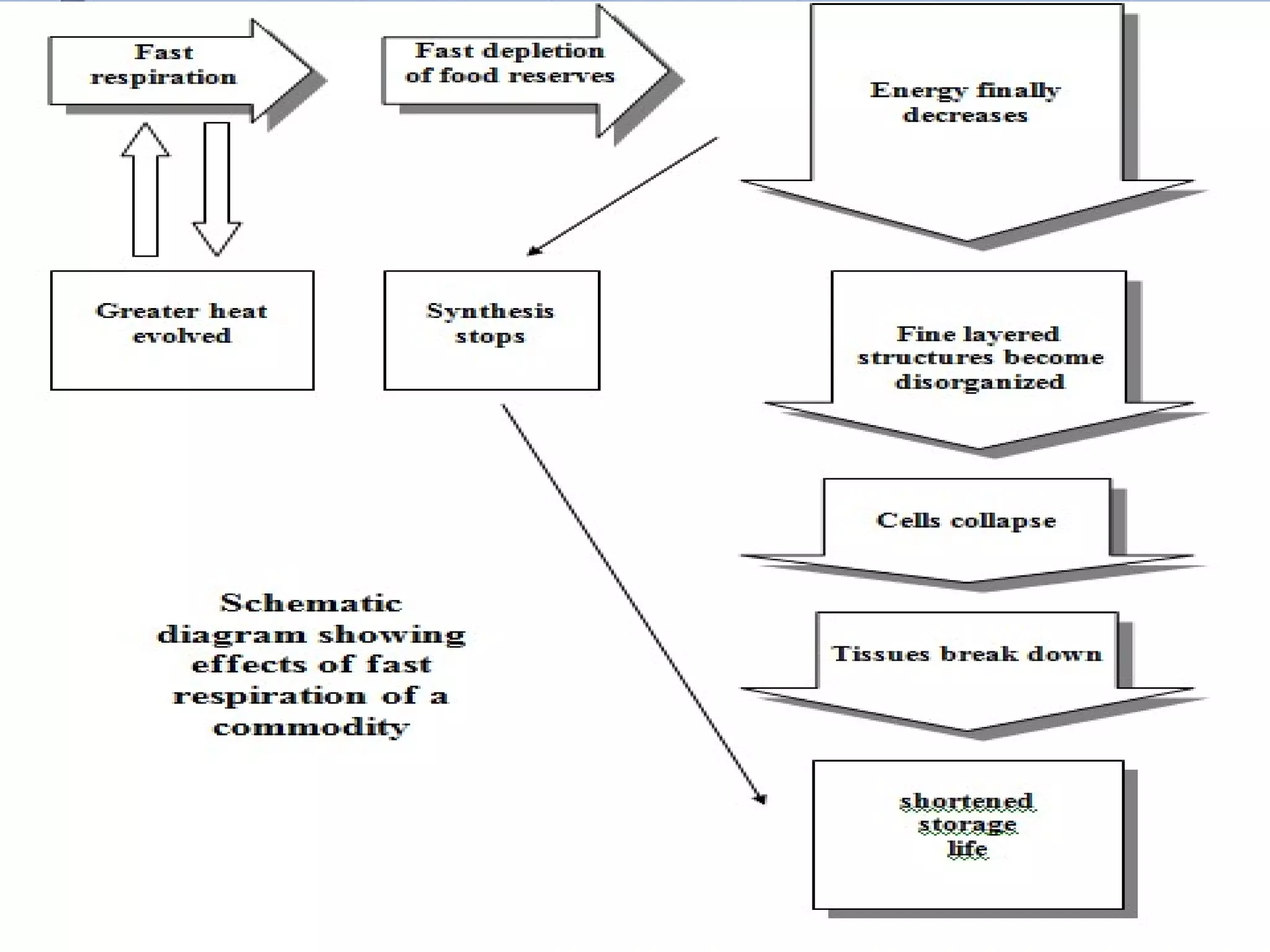 Lecture 2: Biological Aspect of Postharvest Handling of Crops | PPT