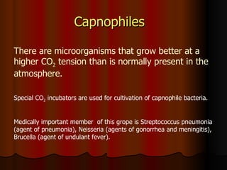Bohomolets Microbiology Lecture #2 | PPT