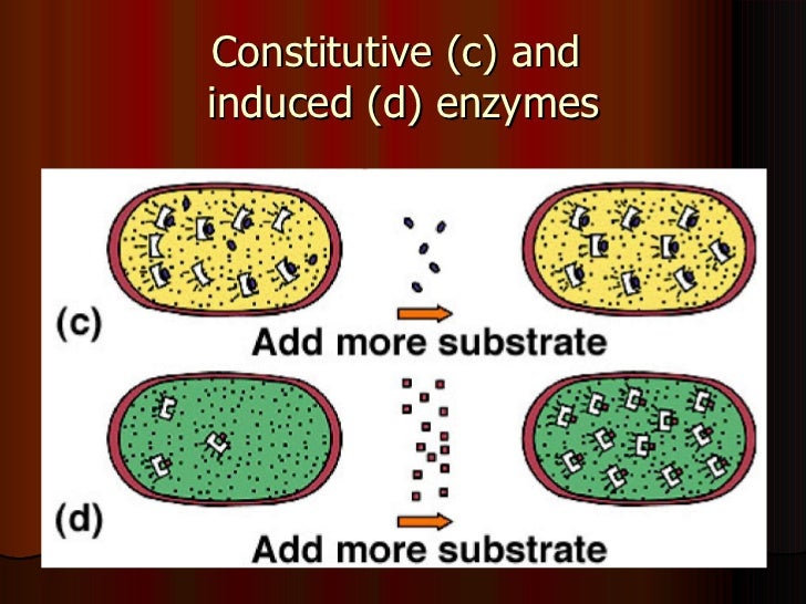 Bohomolets Microbiology Lecture #2