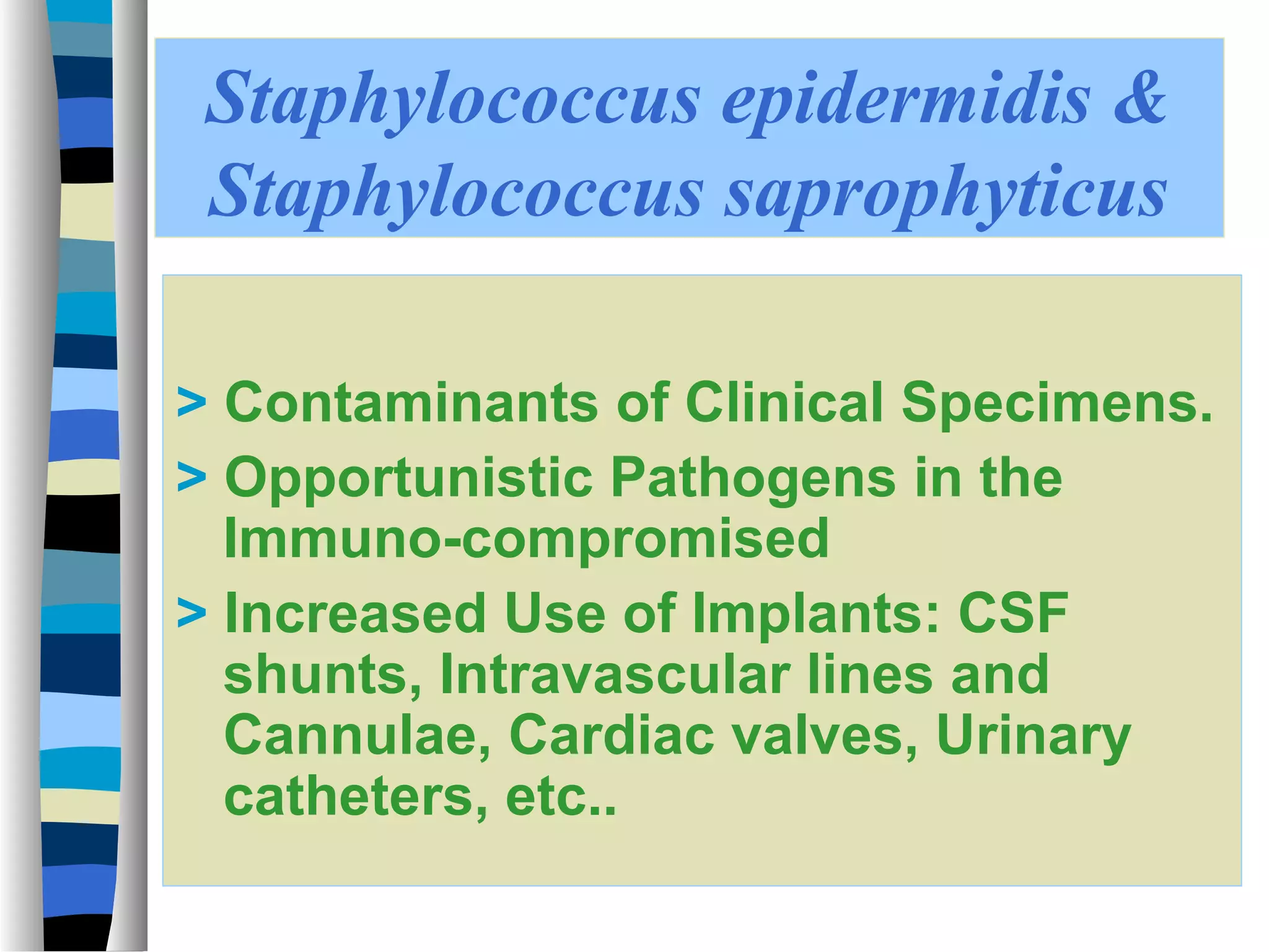 Lecture 2 Coagulase-negative staphylococci | PPT | Infectious Diseases | Diseases and Conditions