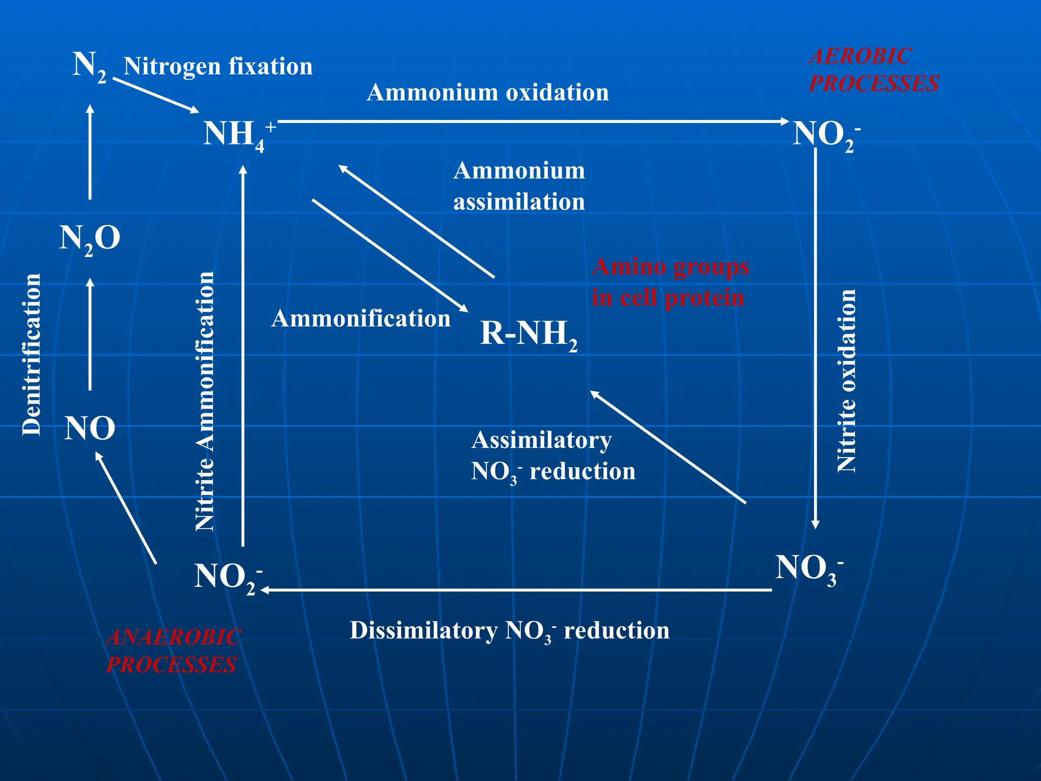 Lecture 2 -Ecosystems structure and functioning.ppt