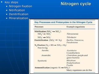 Lecture 2 -Ecosystems structure and functioning.ppt