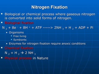 Lecture 2 -Ecosystems structure and functioning.ppt
