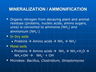 Lecture 2 -Ecosystems structure and functioning.ppt