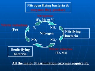 Lecture 2 -Ecosystems structure and functioning.ppt