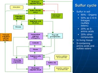 Lecture 2 -Ecosystems structure and functioning.ppt