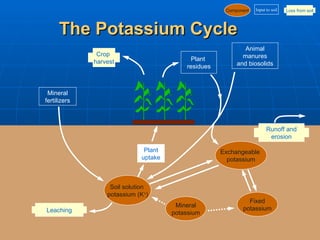 Lecture 2 -Ecosystems structure and functioning.ppt